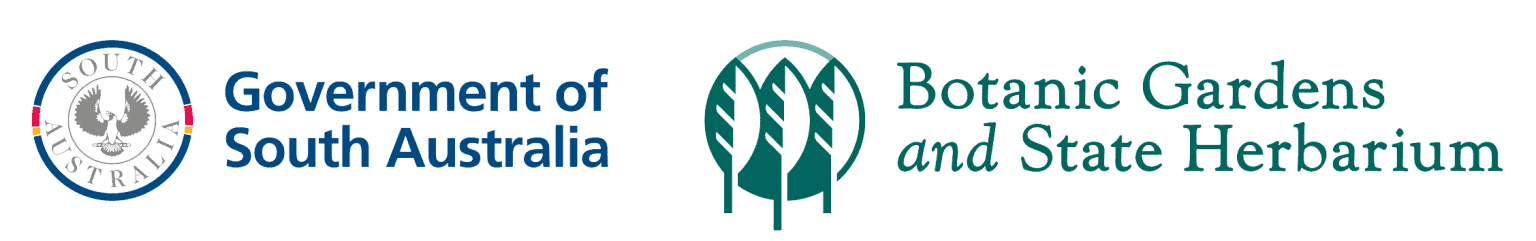 Exhibitions | David Roche Gallery