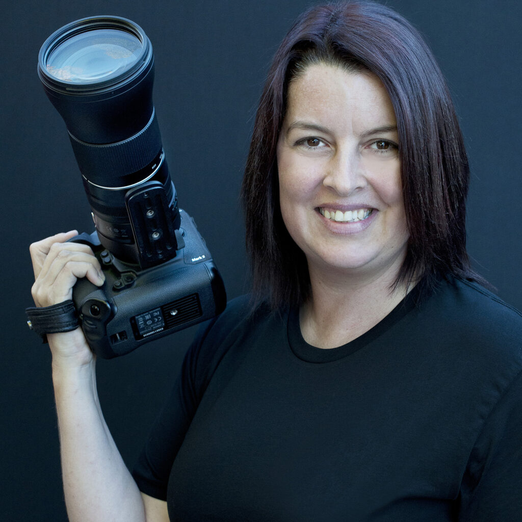 Prize | David Roche Gallery